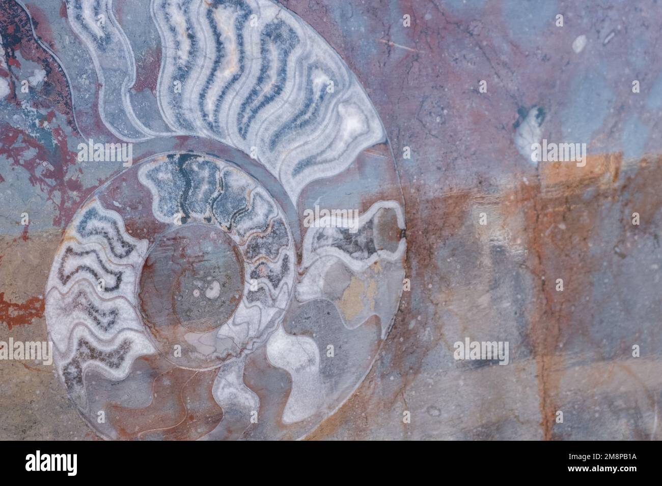 Sea and ocean fossils found on rocks in the desert of Morocco Stock ...