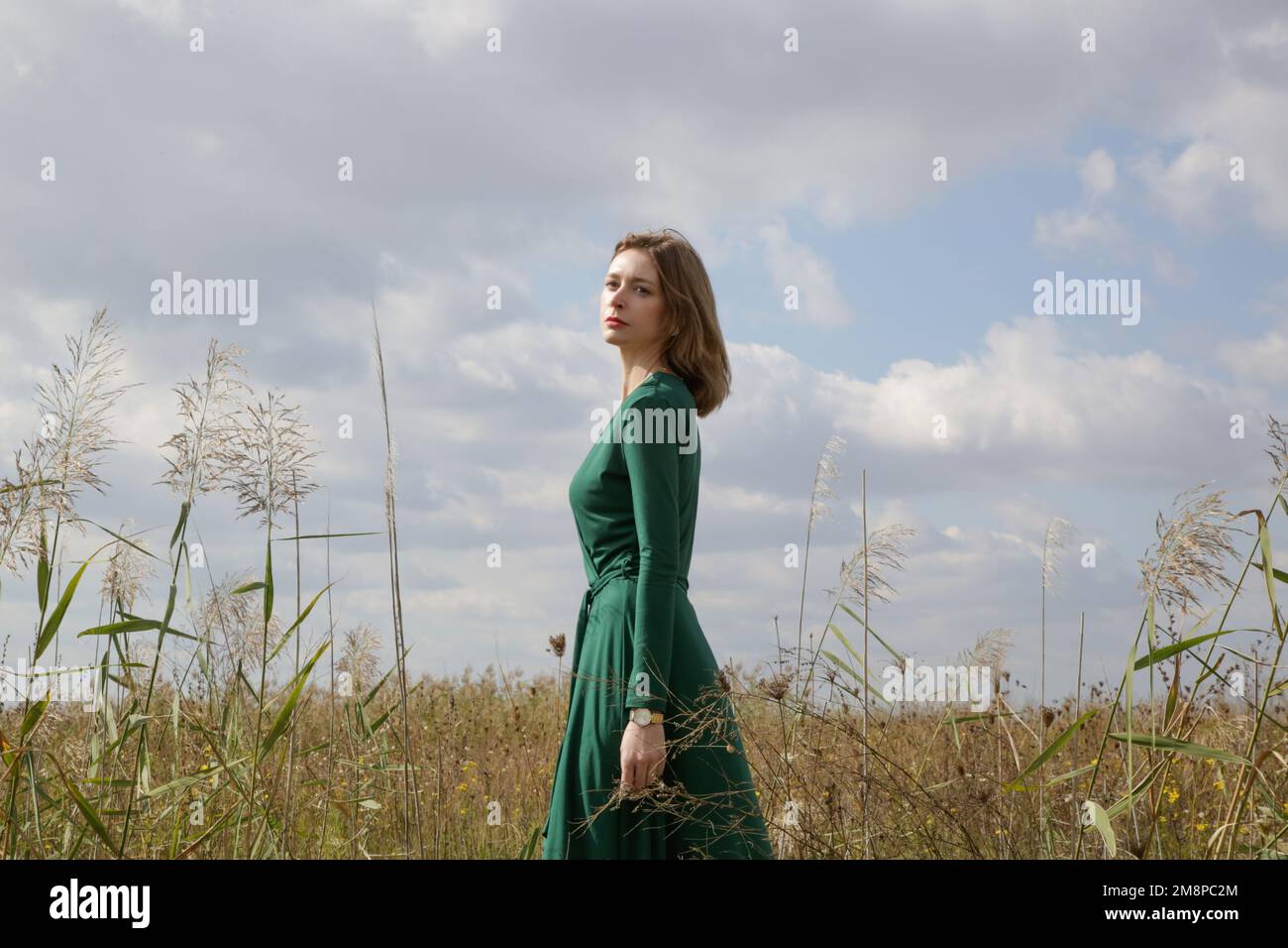 Serie of photos of female model in green dress posing on meadow ...