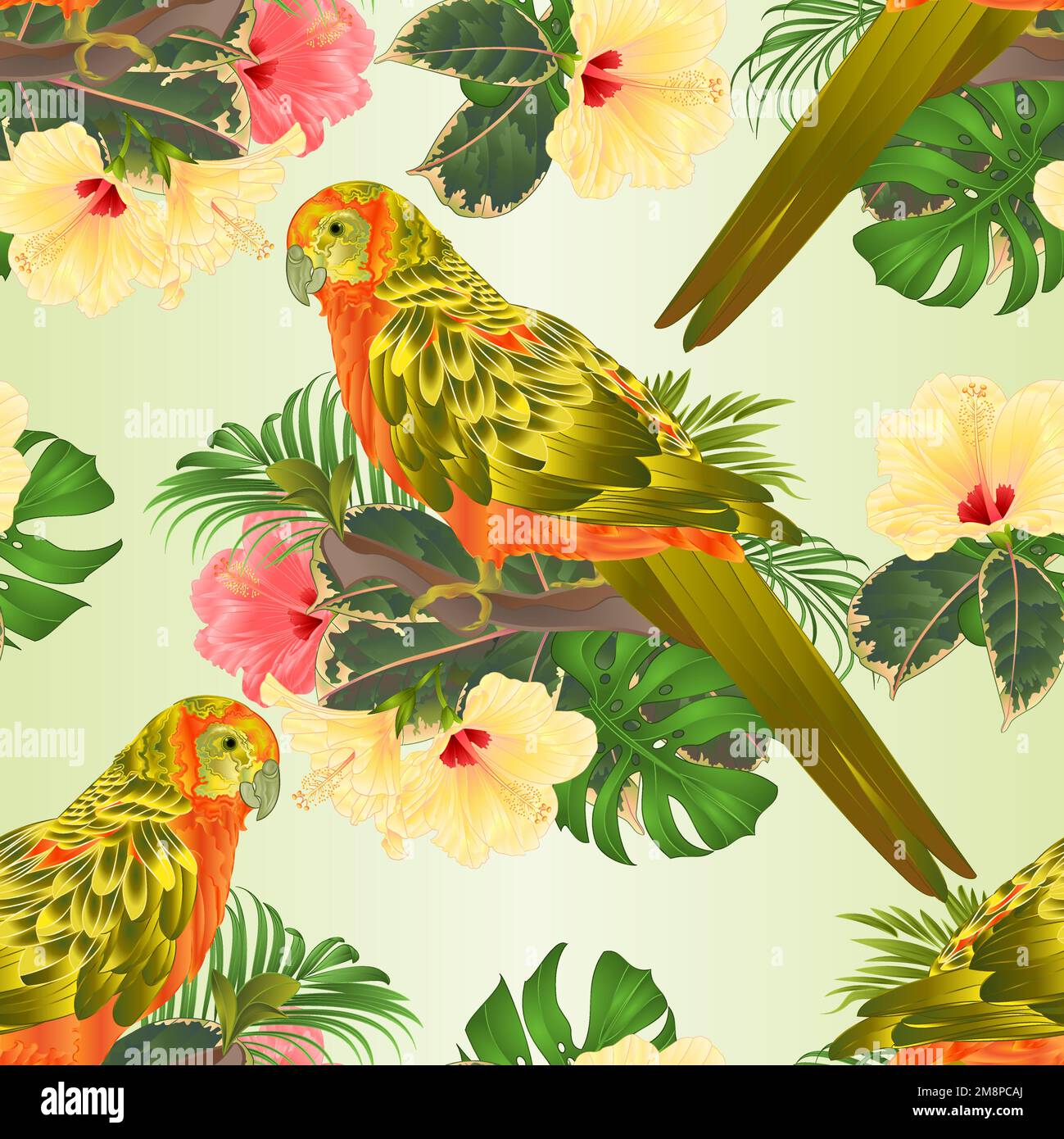 Seamless texture bird Sun Conure Parrot , home pet , parakeet on a ...