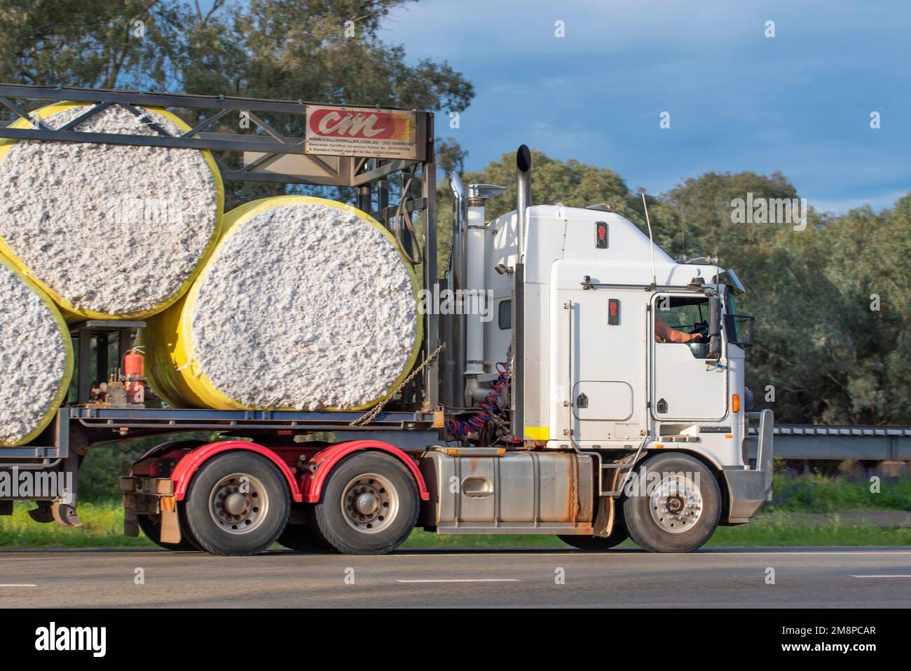 Large yellow rolled bales of raw cotton being transported by road on a ...