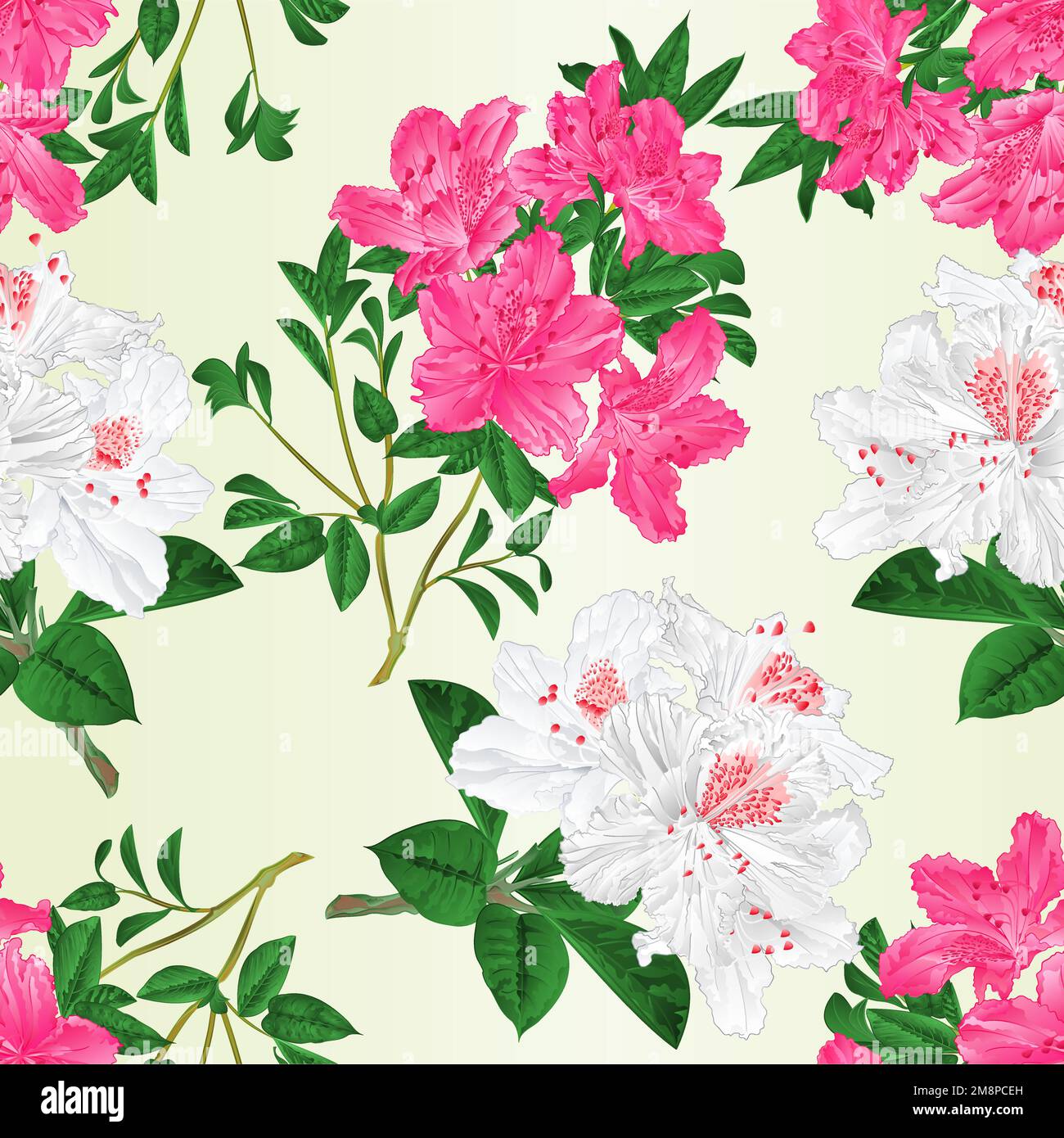 Seamless texture twigs pink and white rhododendrons with flowers and ...