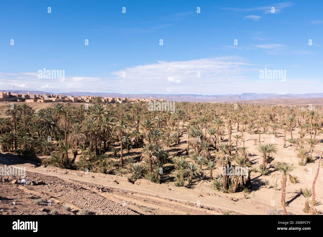 Landscape view of Morocco desert with date palm trees Stock Photo - Alamy