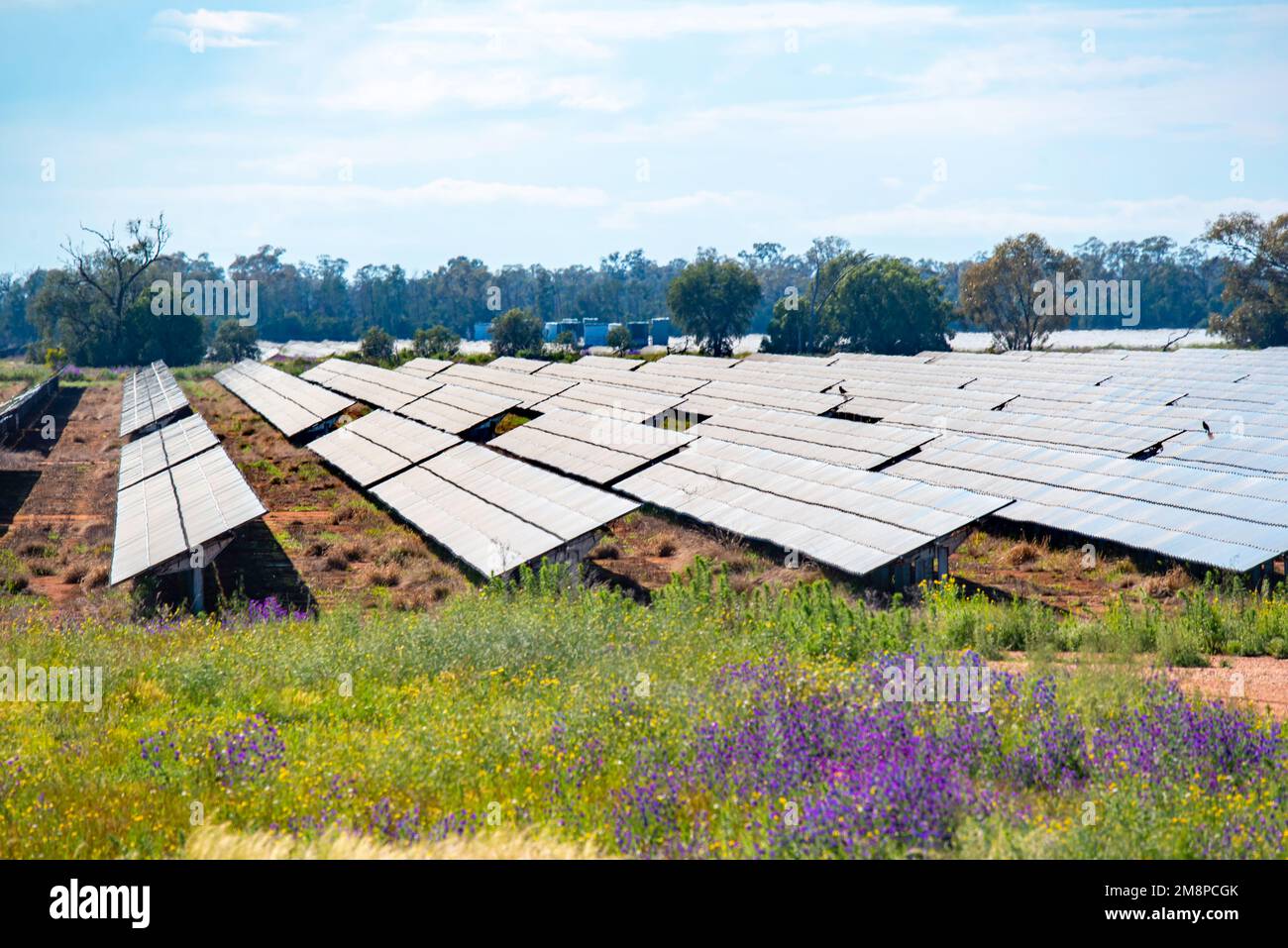 Large scale solar power farms australia hi-res stock photography and ...