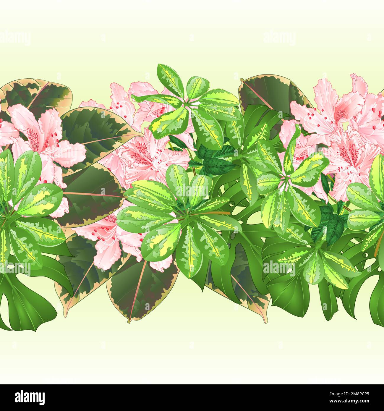 Tropical border seamless background tropical flowers floral arrangement ...