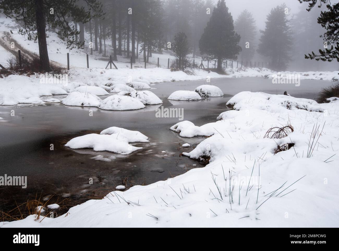 Forest idyllic winter landscape with frozen lake and land covered in ...