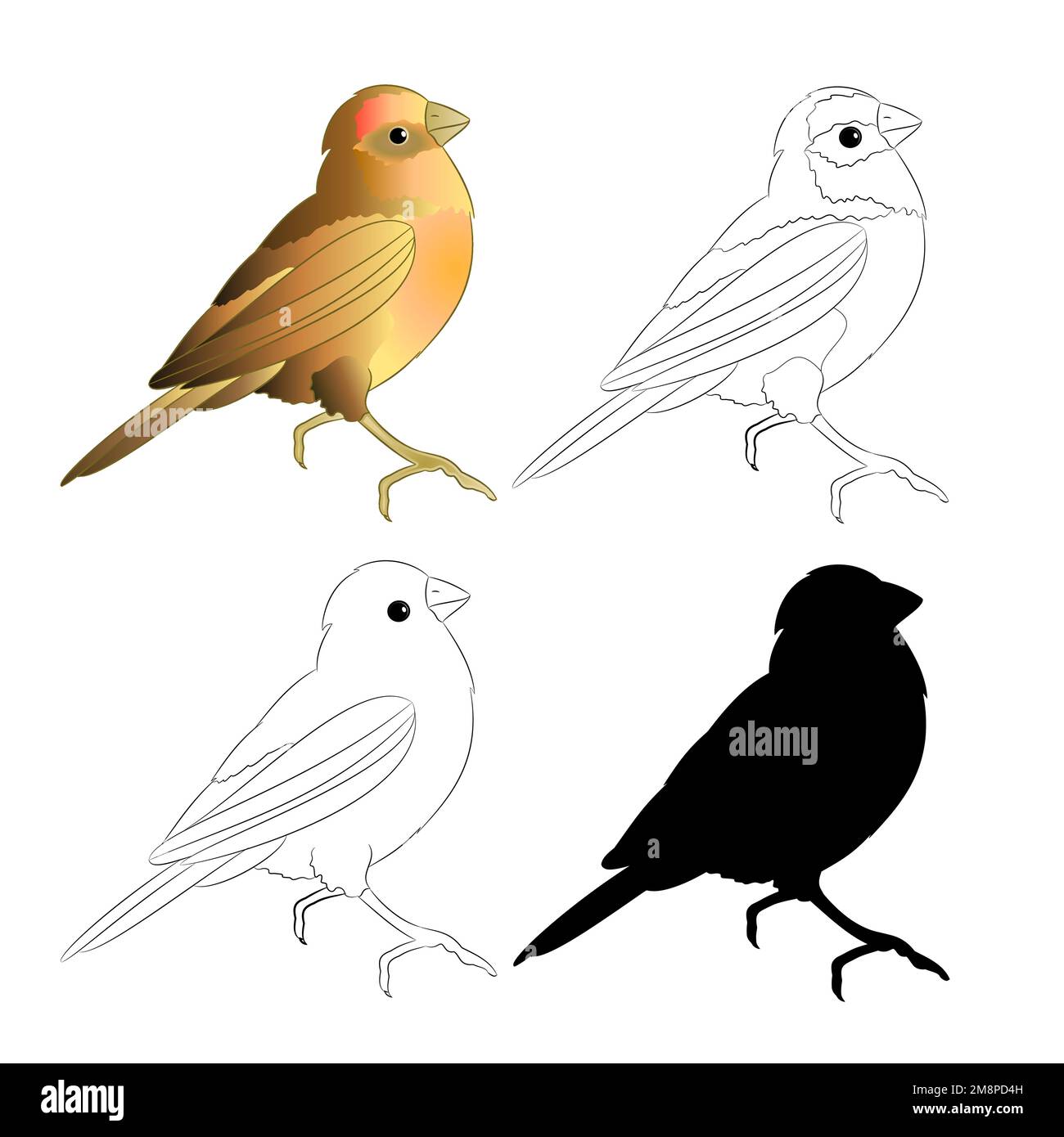 Small mountain bird Stock Vector Images - Alamy