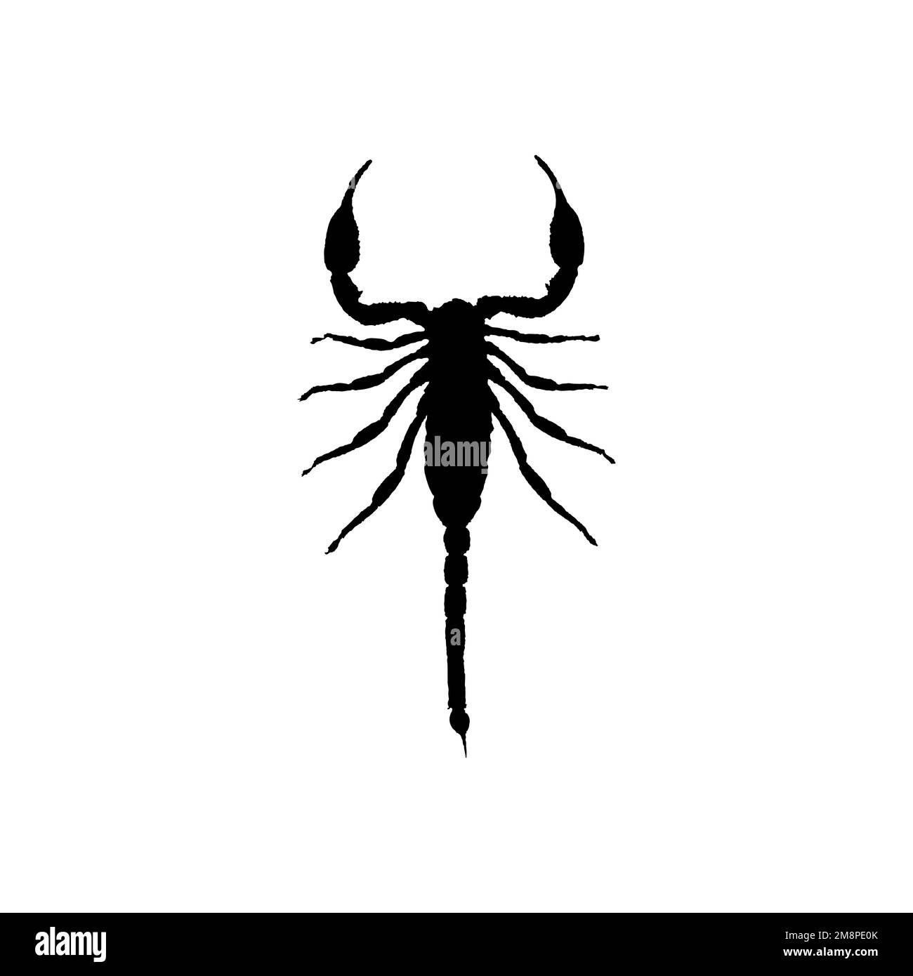 Scorpion Icon Simple Style Scorpion Poster Background Symbol Scorpion Brand Logo Design