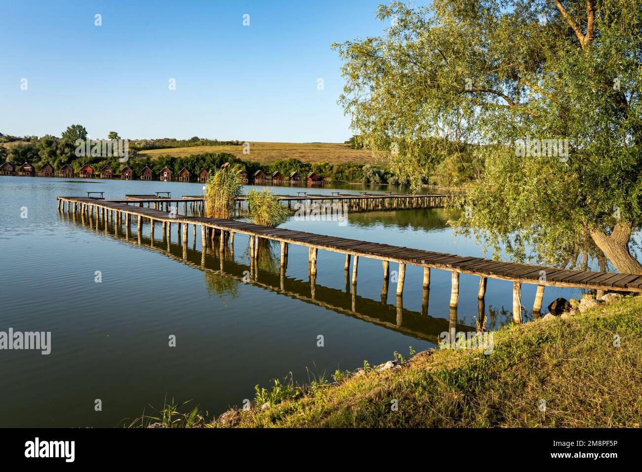 A wooden jetty over a lake under a blue sky in summer Stock Photo - Alamy