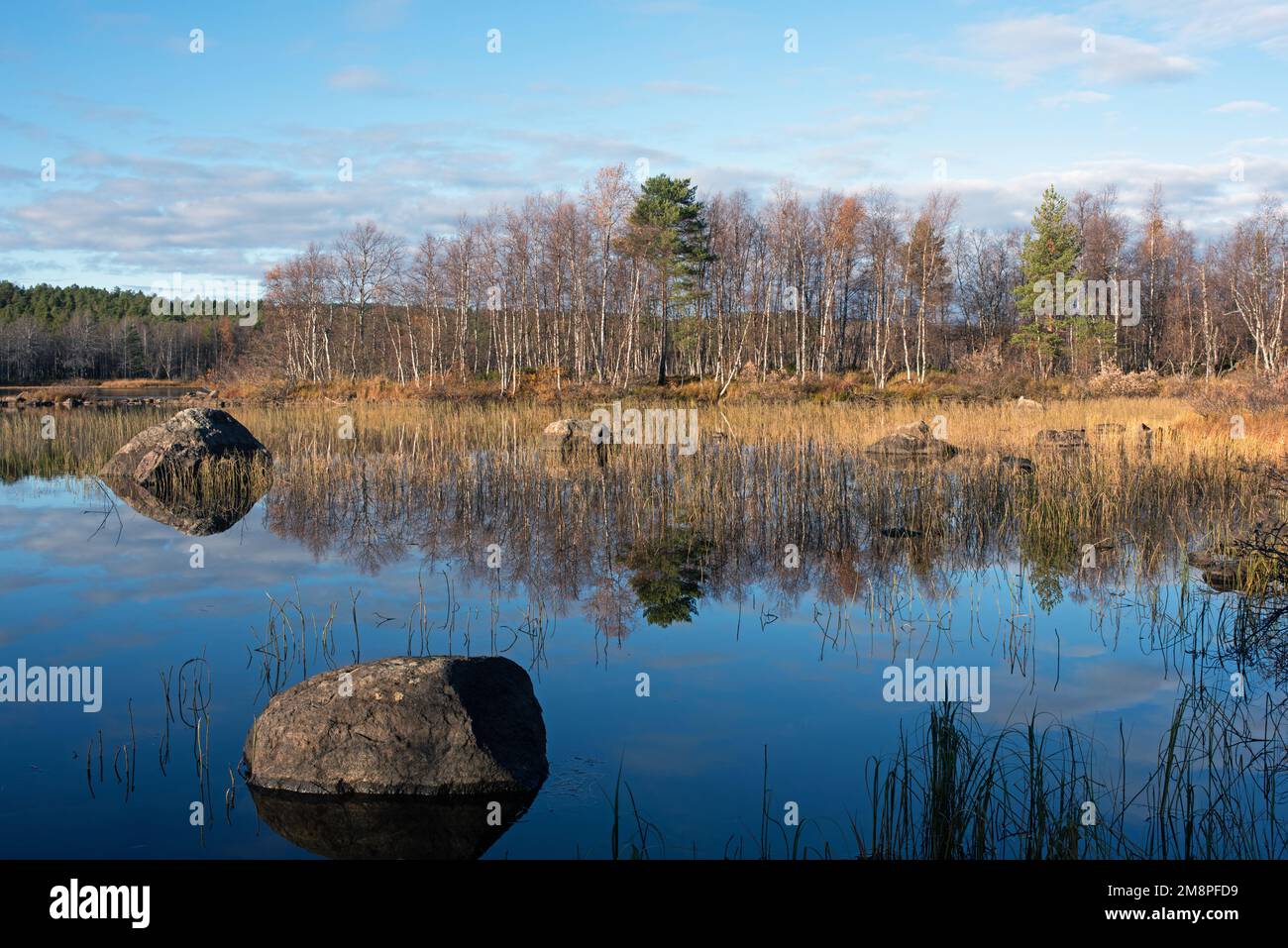 Small lake near Inari in Finland Stock Photo - Alamy