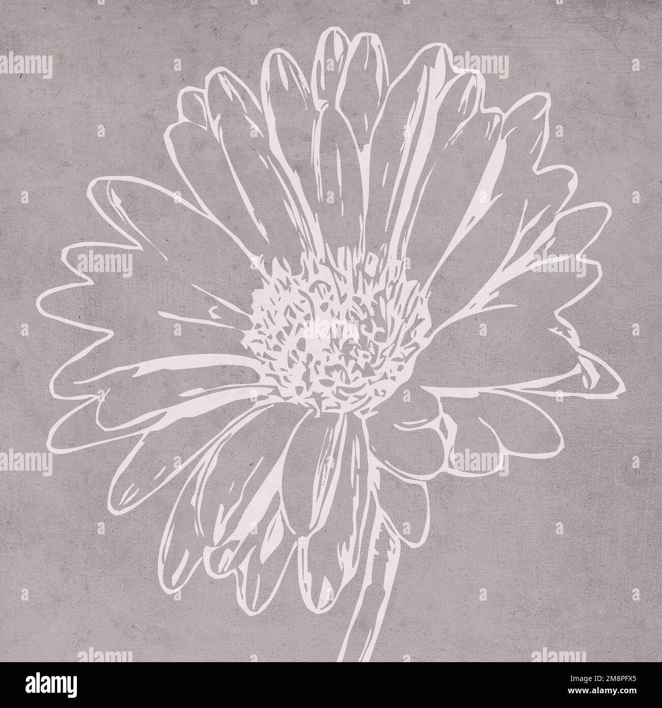 Printable trendy botanical card. Use for cover, wallpaper, wall art ...