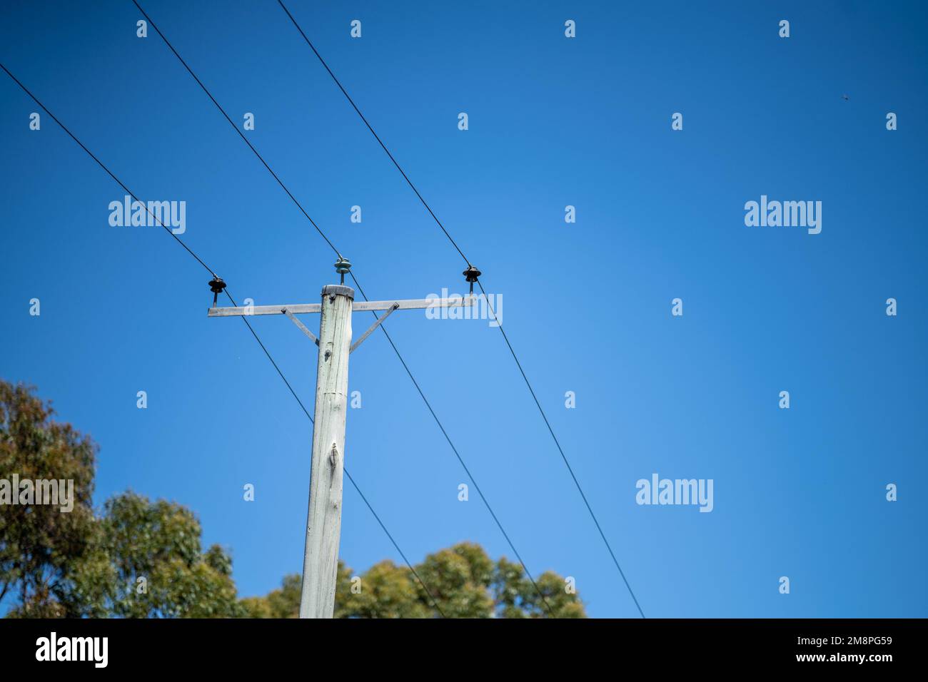 power lines in the bush in summer Stock Photo - Alamy