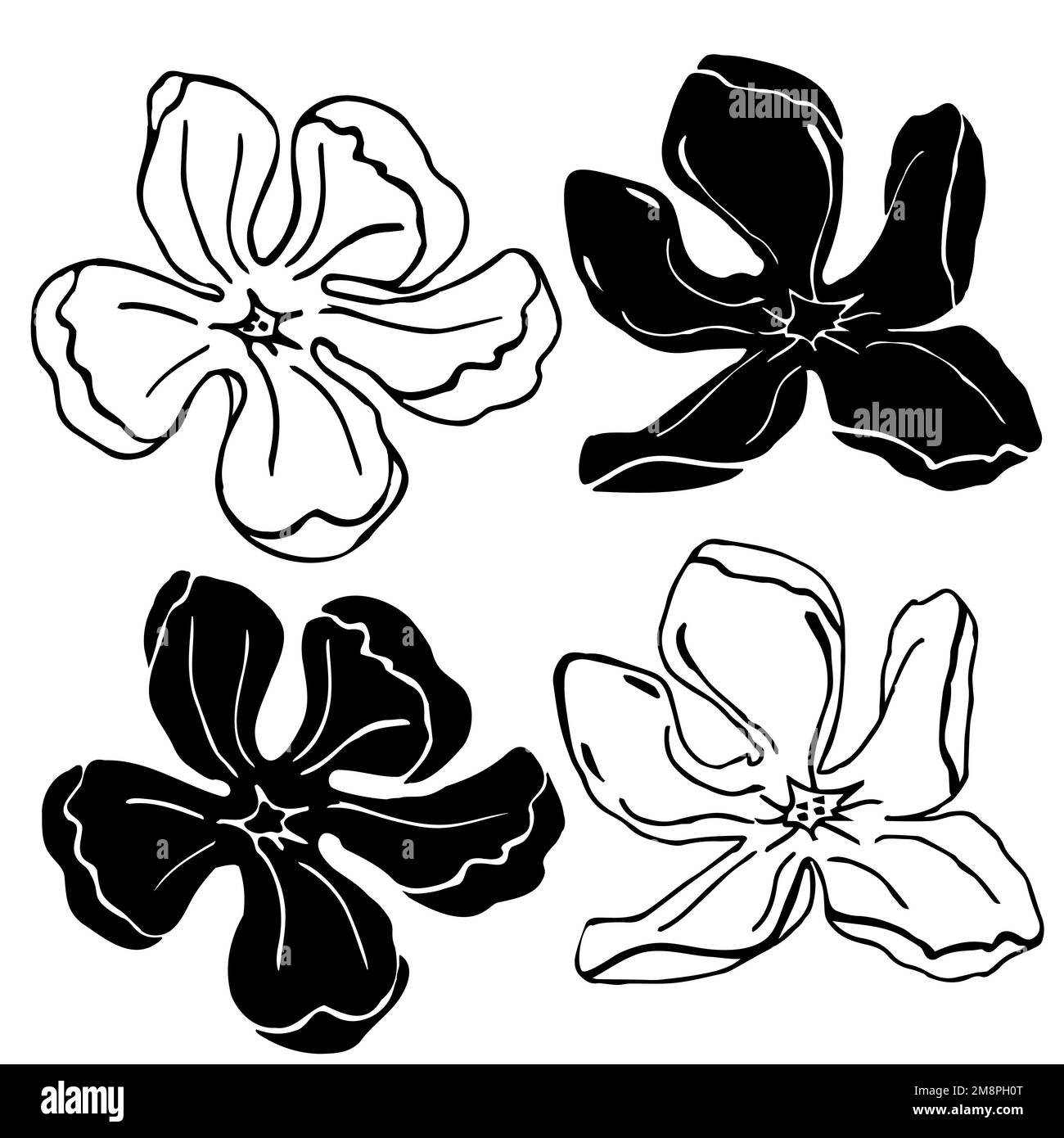 Magnolia flower head, hand drawn elements for design of wedding card ...