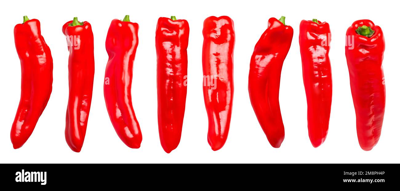 Fresh red capsicum sweet pepper isolated. A set of peppers. vertically ...