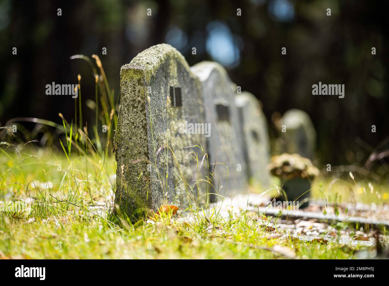 cemetery graves and cross in a graveyard in a church Stock Photo - Alamy