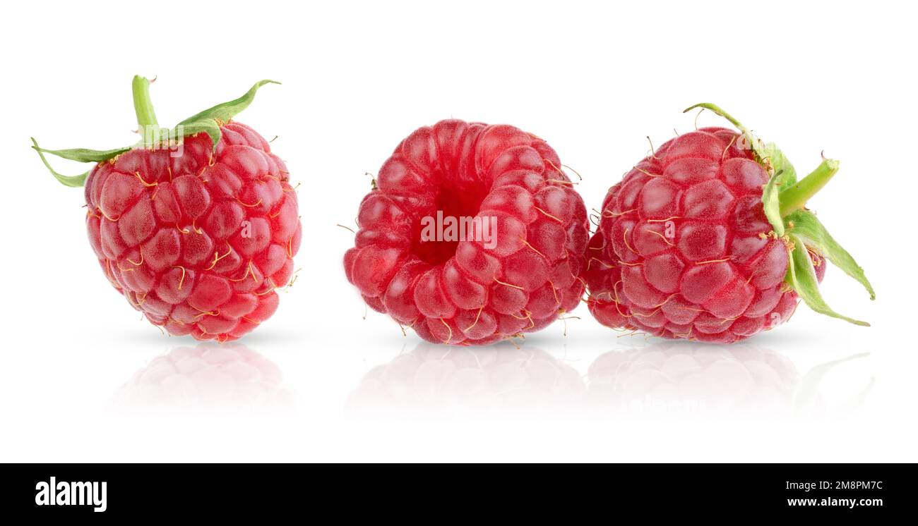 Set of raspberries isolated on white background with clipping path ...