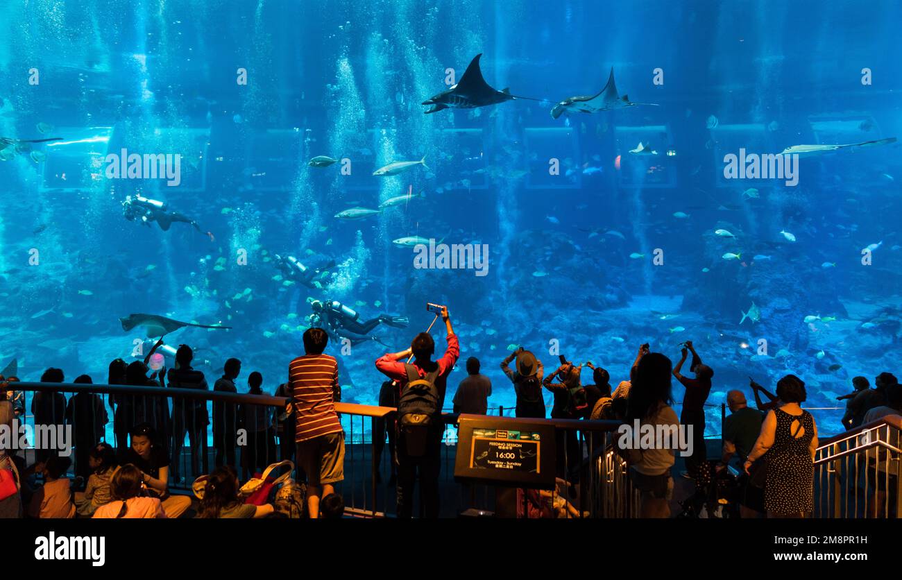 Singapore sentosa aquarium Stock Photo - Alamy