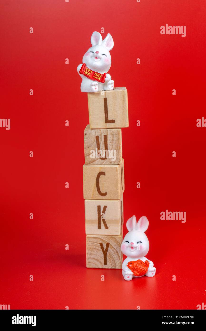 Chinese New Year 2023 concept. Lucky word written on wood block and ...
