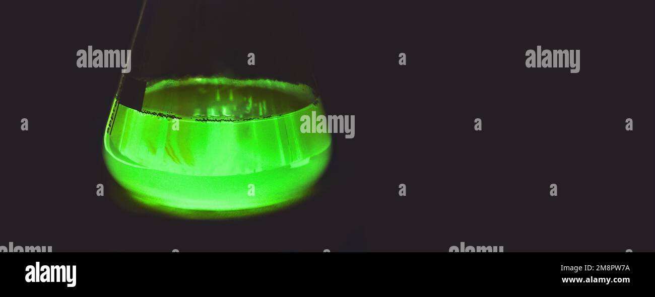 A Laboratory flask glowing in the dark. Alchemy magic potion. Green ...