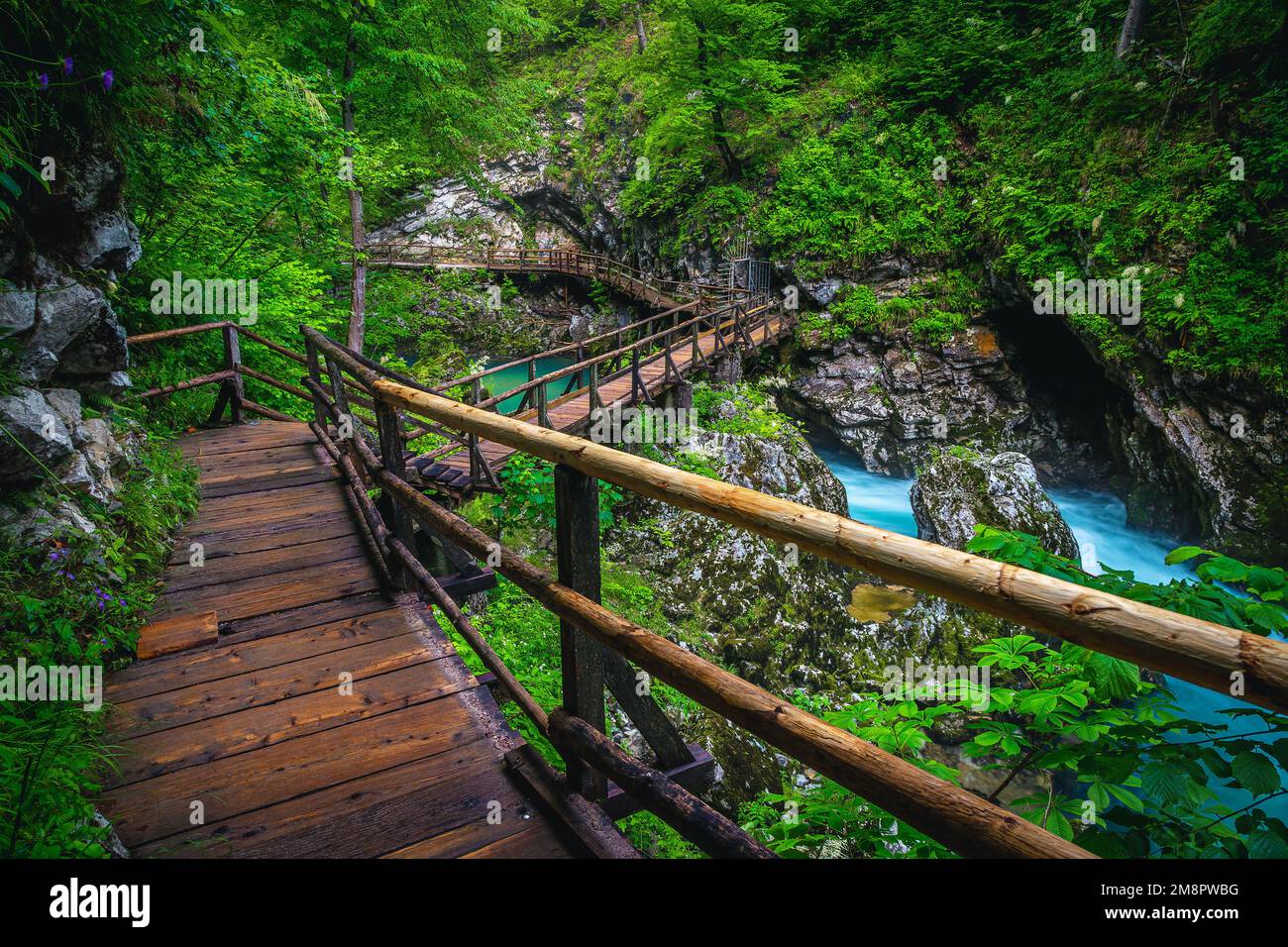 Touristic wooden footbridge in the beautiful Vintgar gorge. Majestic ...