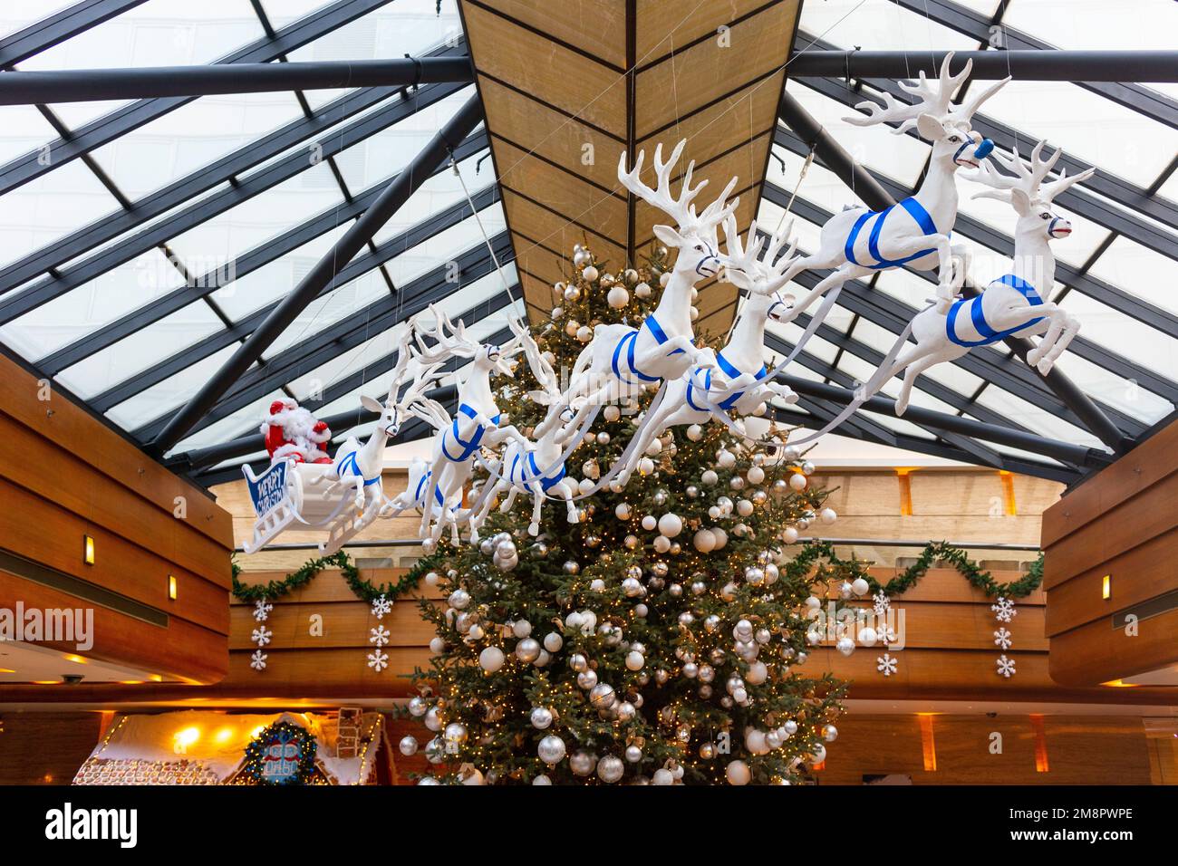 China beijing christmas tree hi-res stock photography and images - Alamy