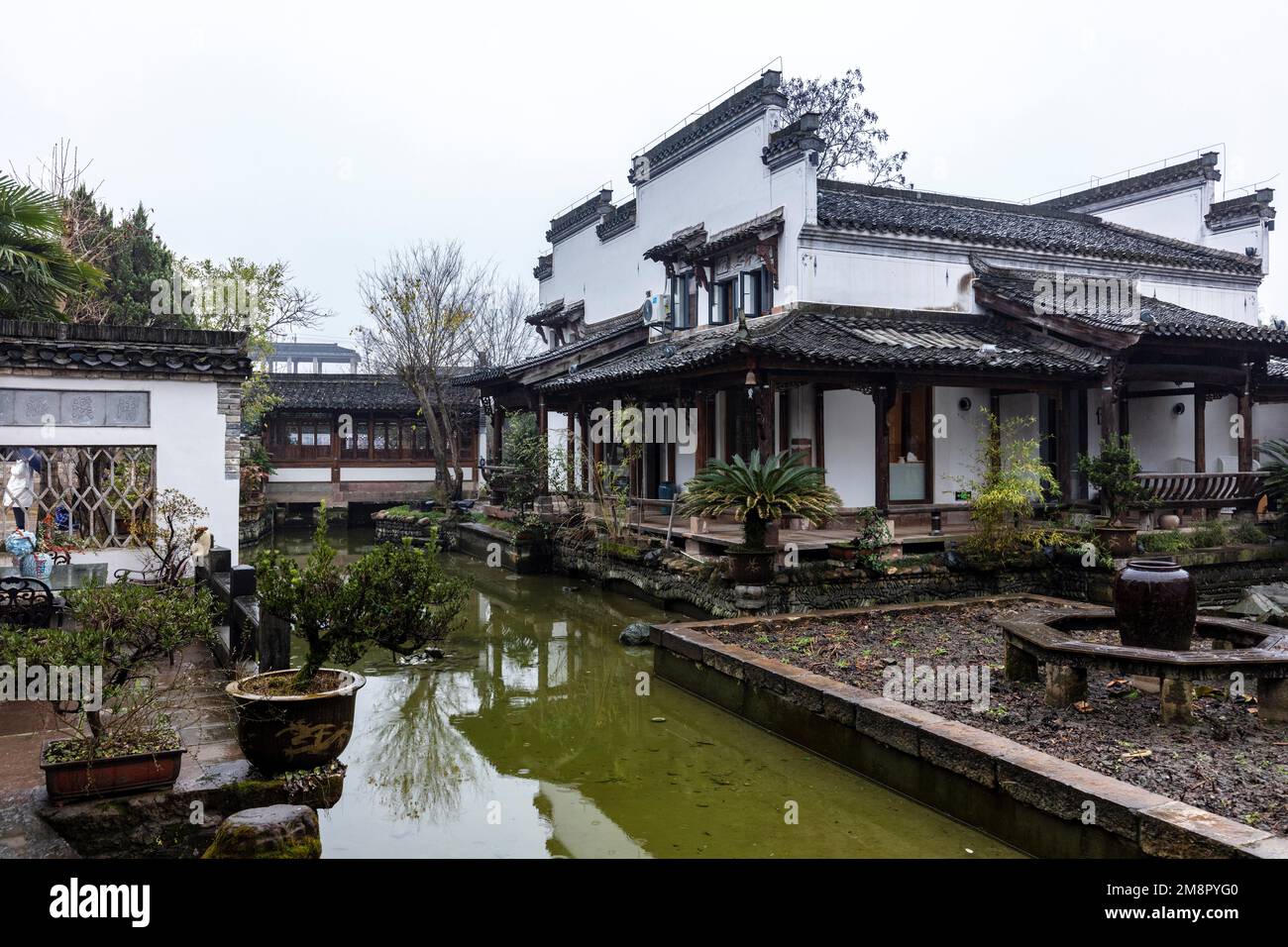 Tree anhui hi-res stock photography and images - Alamy