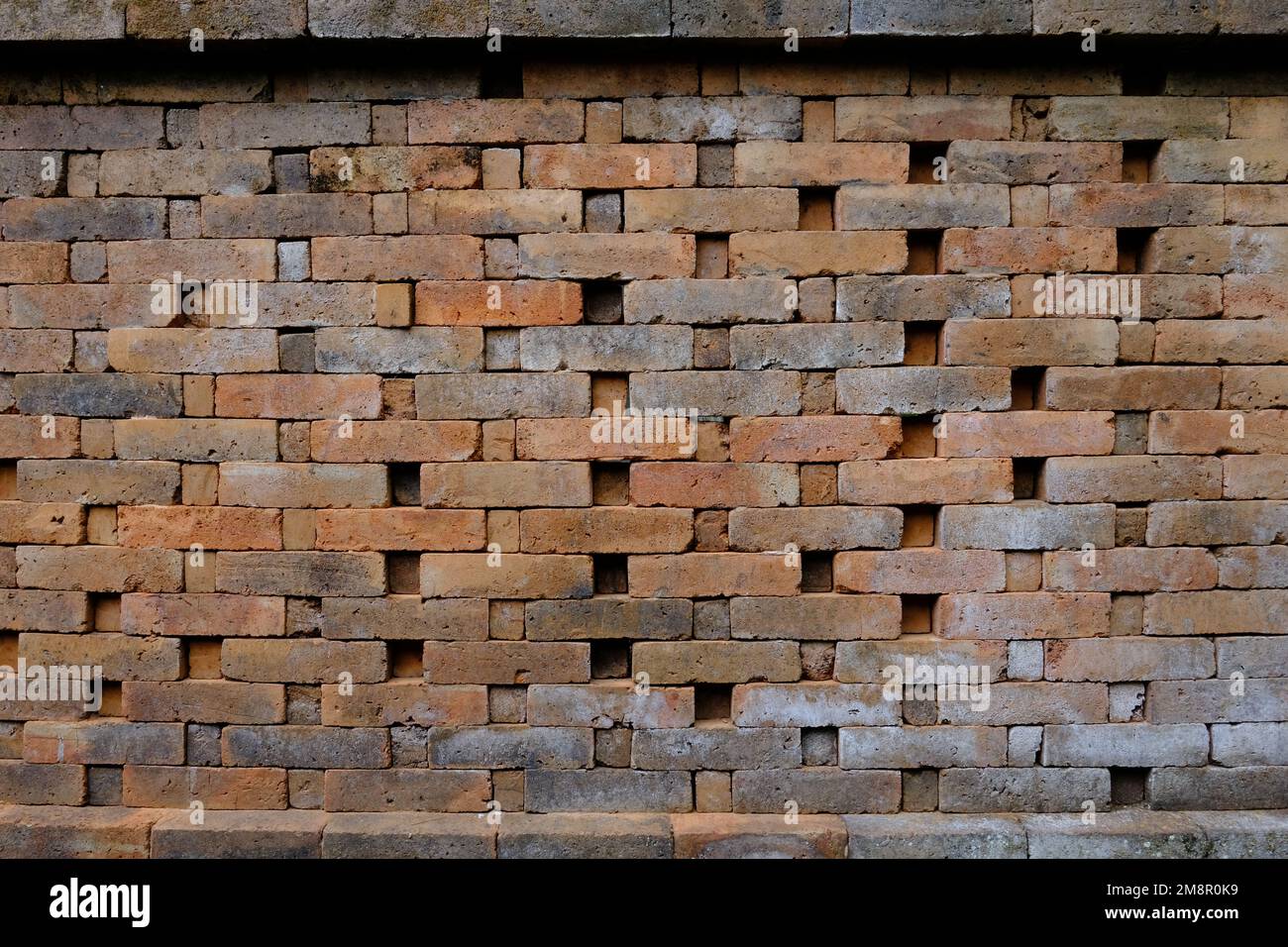Indonesia Bali - Ubud green leaves wall background Stock Photo - Alamy