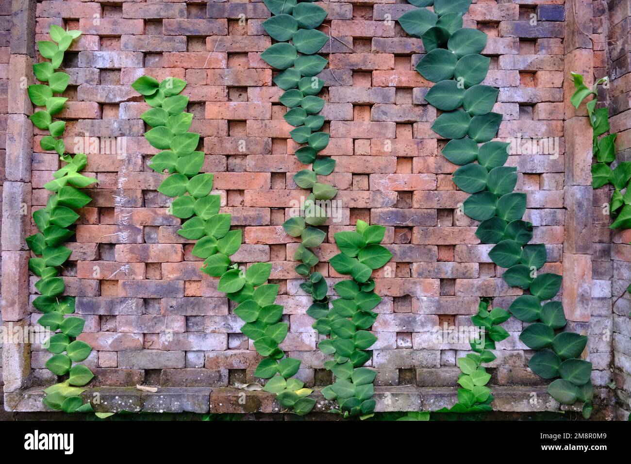 Indonesia Bali - Ubud brickstone wall with plants Stock Photo - Alamy