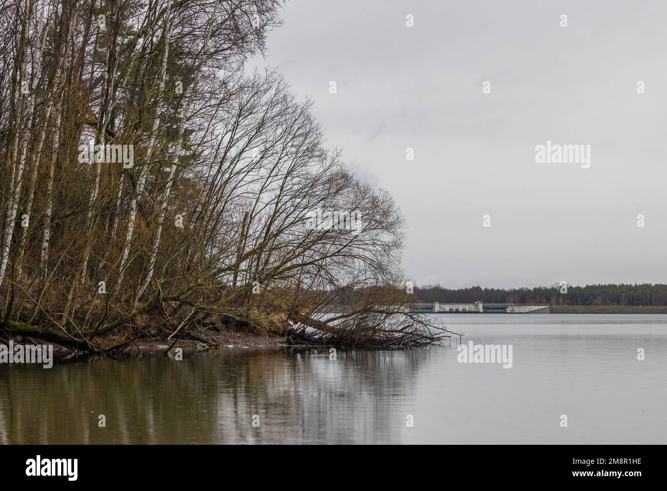 Neuhausen, Germany. 15th Jan, 2023. From the northern beach of the ...