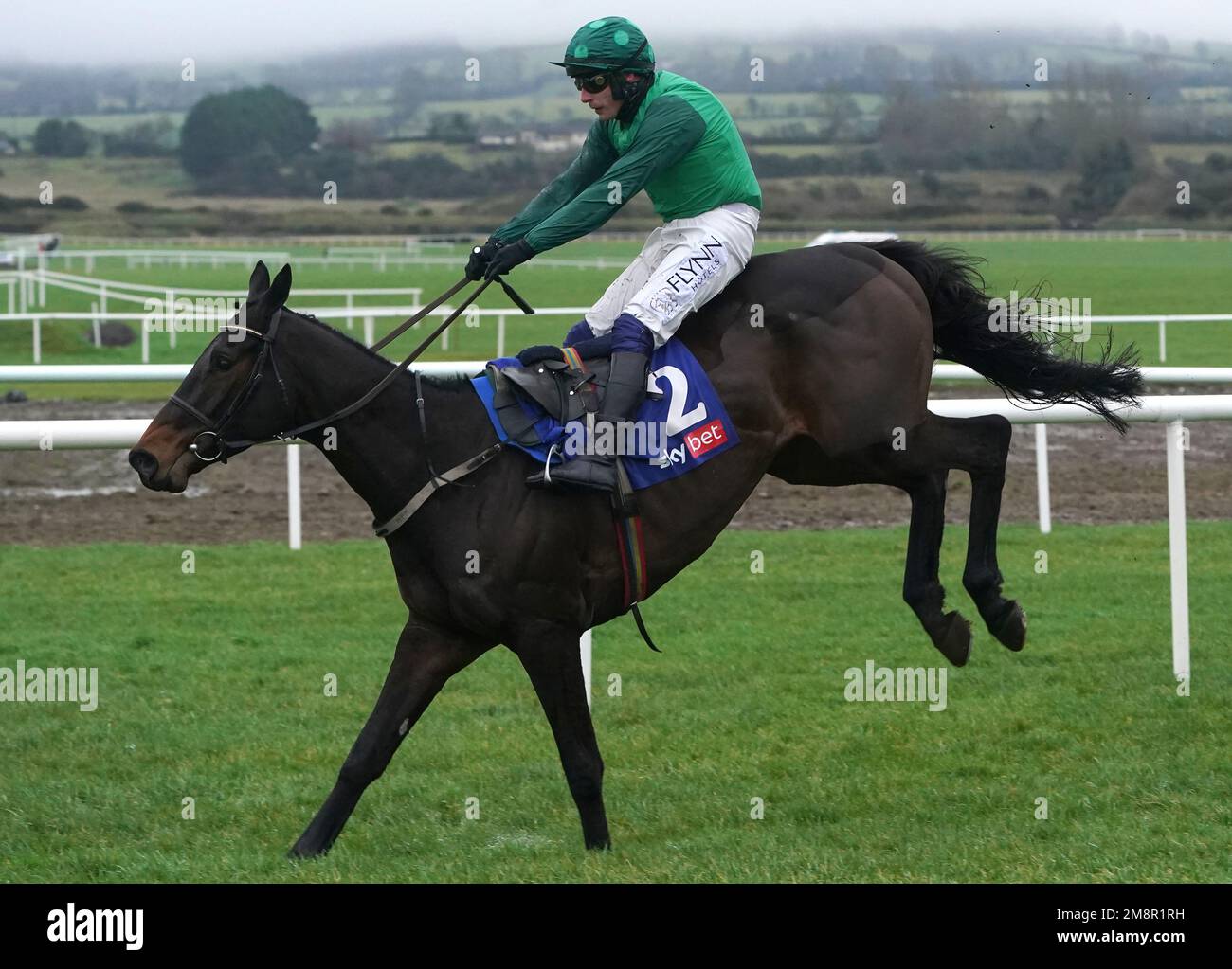 Impaire et passe punchestown hi-res stock photography and images - Alamy