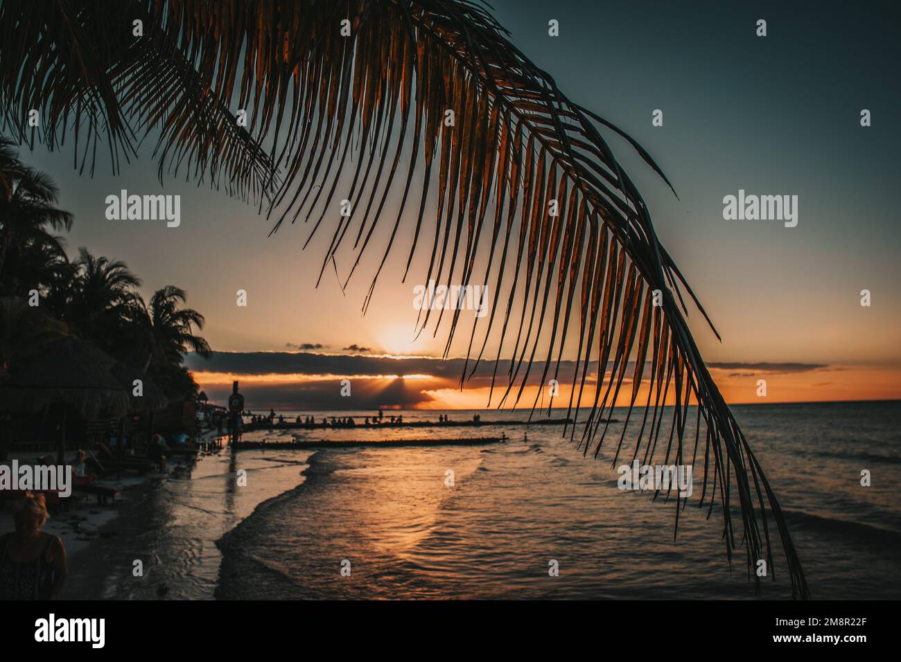 Holbox, Mexico - 20.01.2022 - Dark and magical view to ocean with palm ...