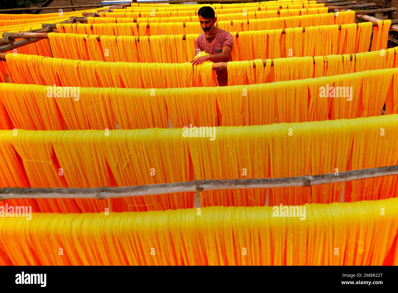 Weavers rinse the colourful Jute fibre to dry under sun which will be ...