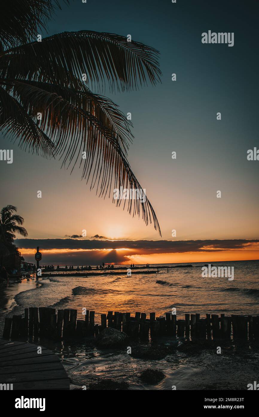 Holbox, Mexico - 20.01.2022 - Dark and magical view to ocean with palm ...