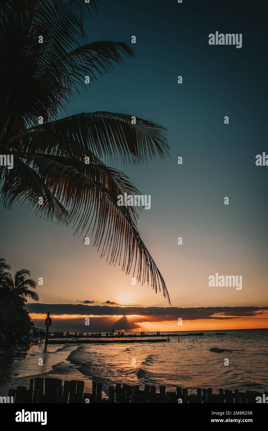Holbox, Mexico - 20.01.2022 - Dark and magical view to ocean with palm ...