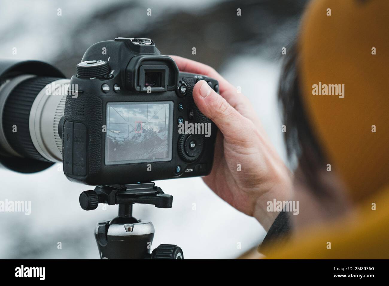 Photographer using the rear lcd screen to compose and take a landscape ...