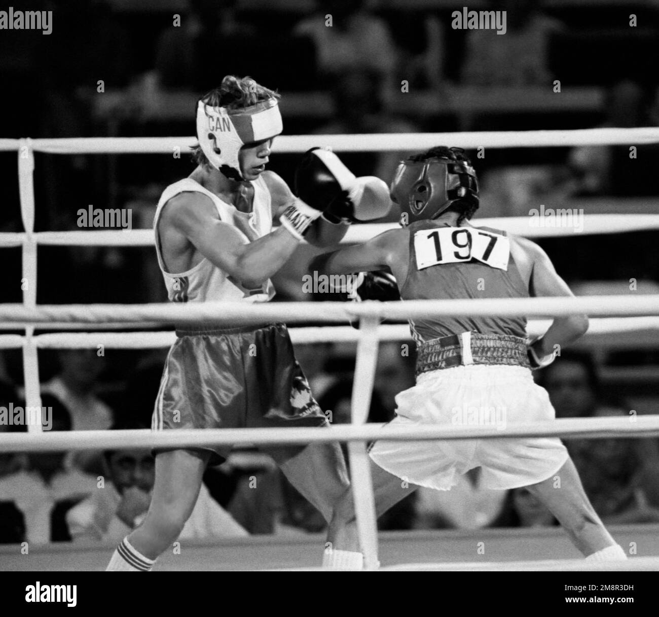 Dale walters hi-res stock photography and images - Alamy