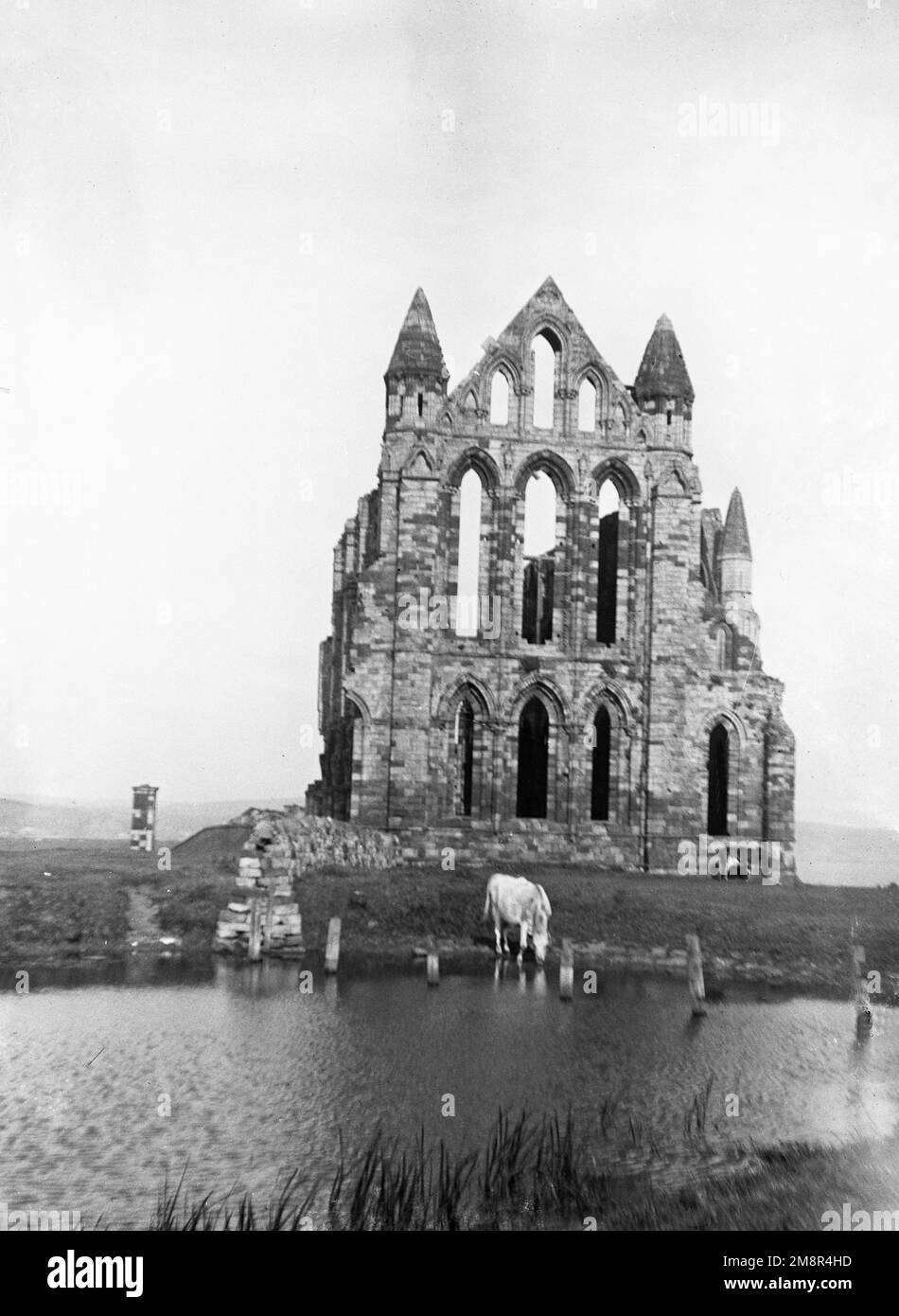 Whitby Abbey, Whitby, North Yorkshire, England taken at 7.30am on 24th ...