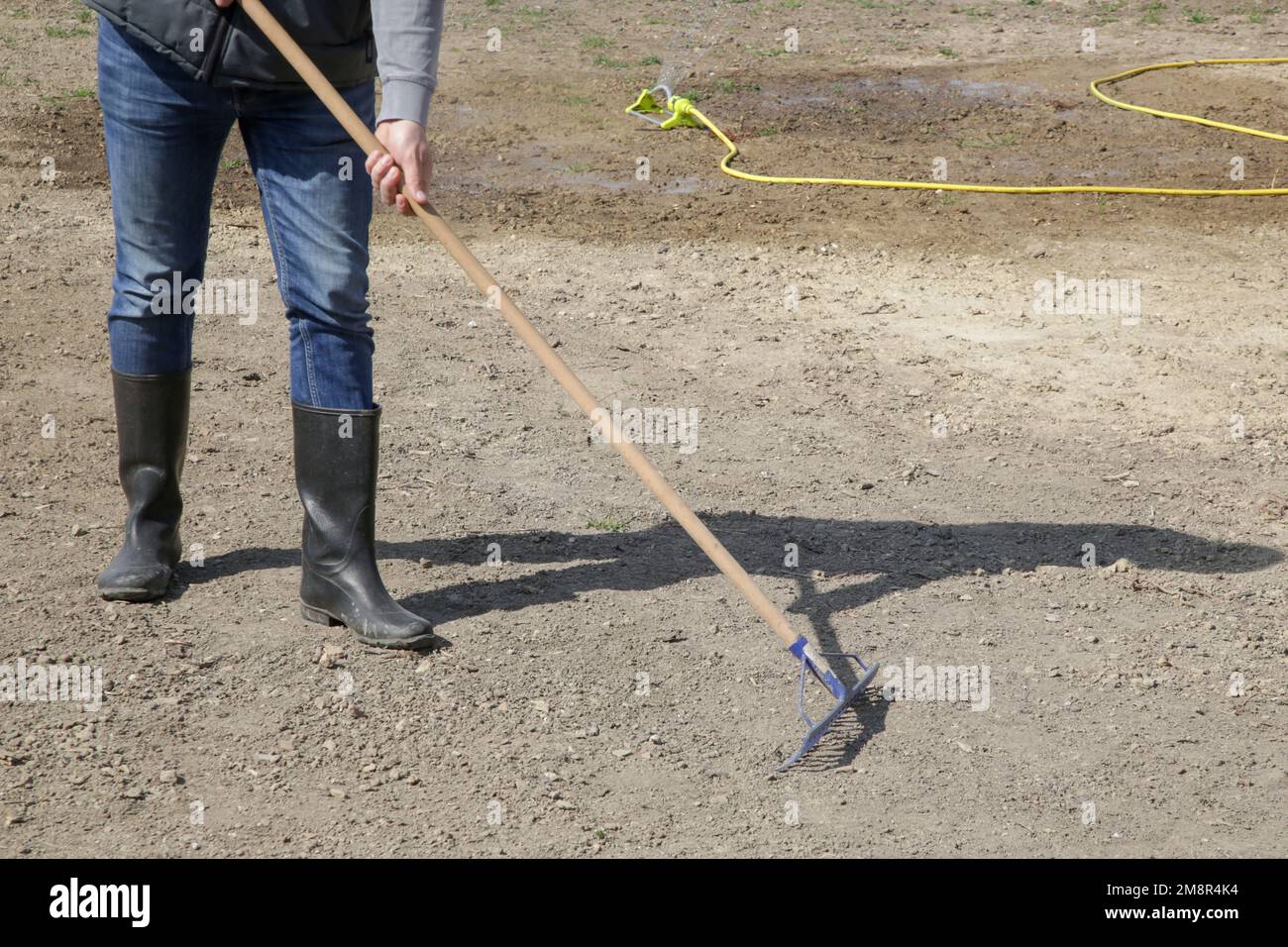 Farmer using a rake to create a fine top layer of soil. Planting grass ...