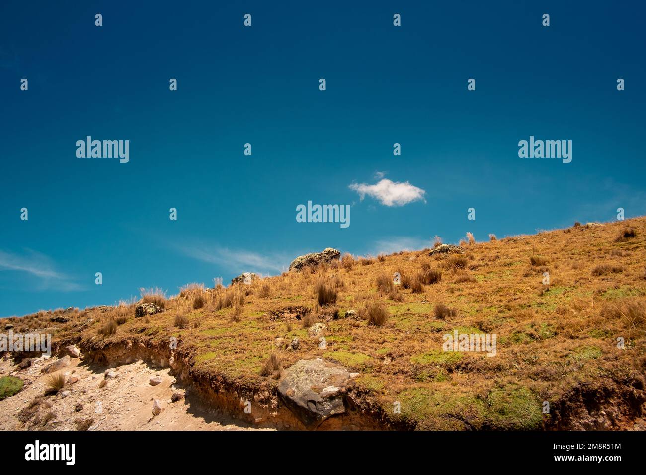 A frog shaped rock on top of the hill in the peruvian andes Stock Photo ...