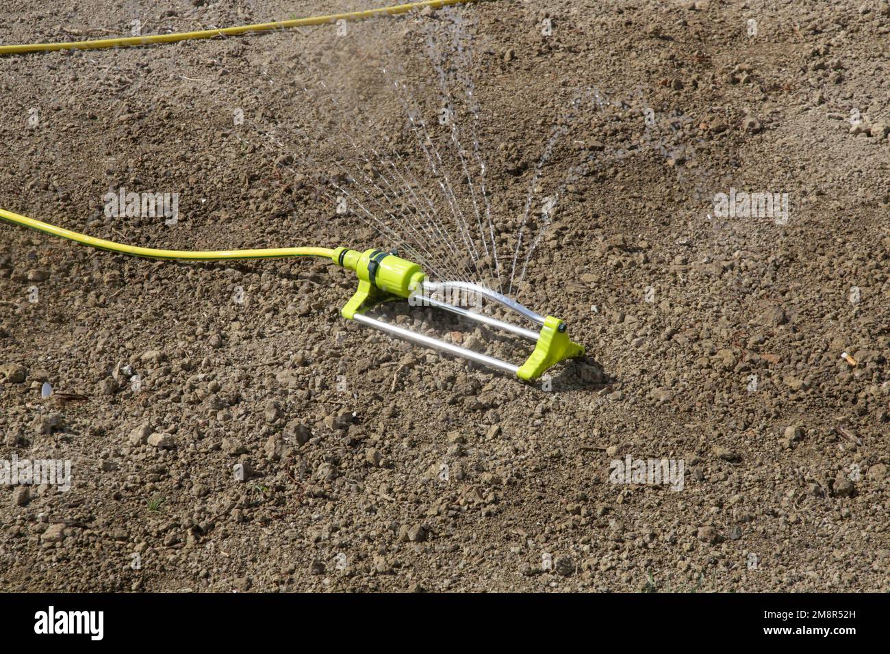 Process of watering grass seeds on the soil. Planting grass. Process of ...