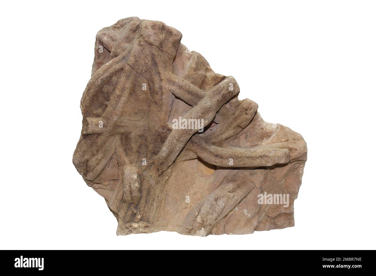 Trace Fossil Paleophycus herberti Stock Photo - Alamy