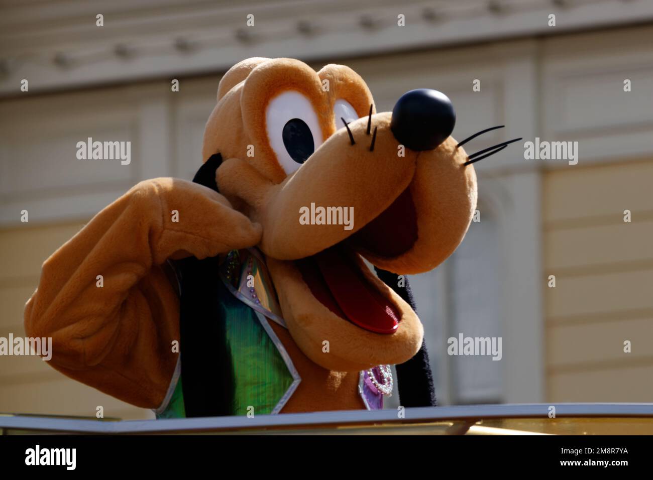 Pluto the dog hi-res stock photography and images - Alamy