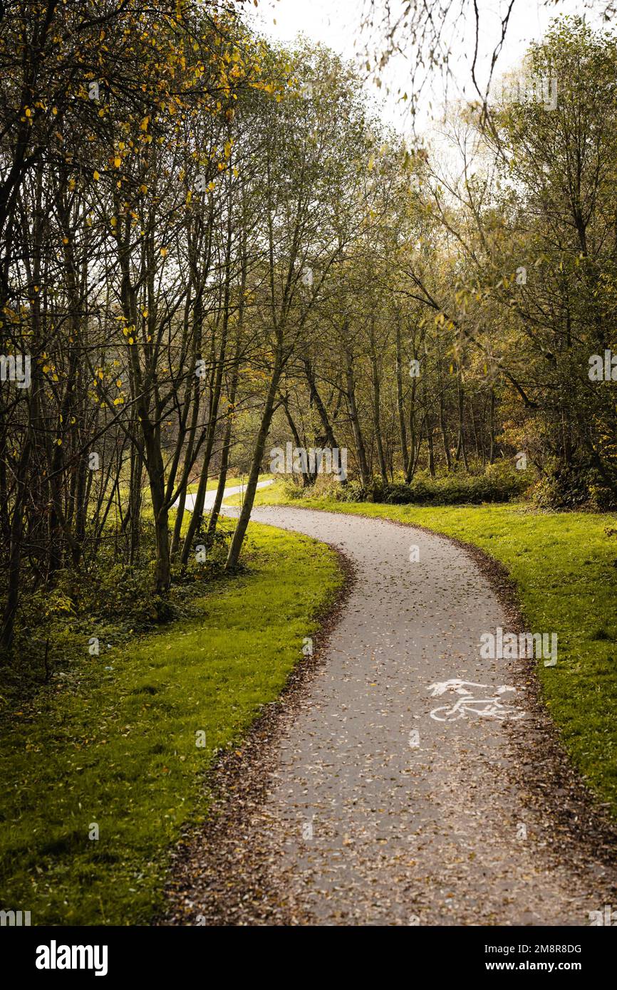 A vertical of dusty path through garden with trees and grass around ...
