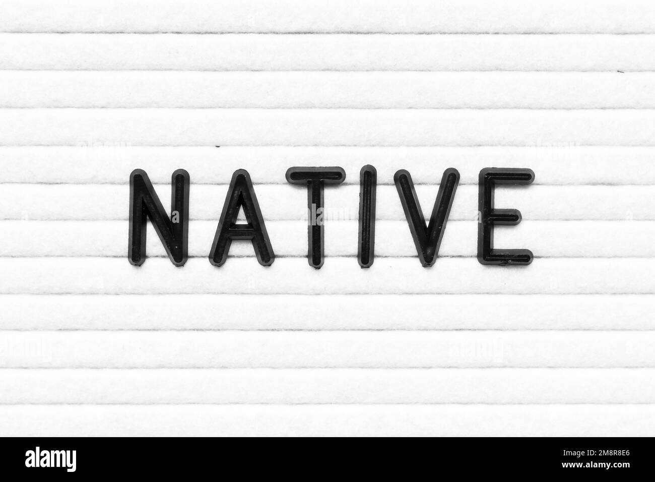 Black alphabet letter in word native on white felt board background ...