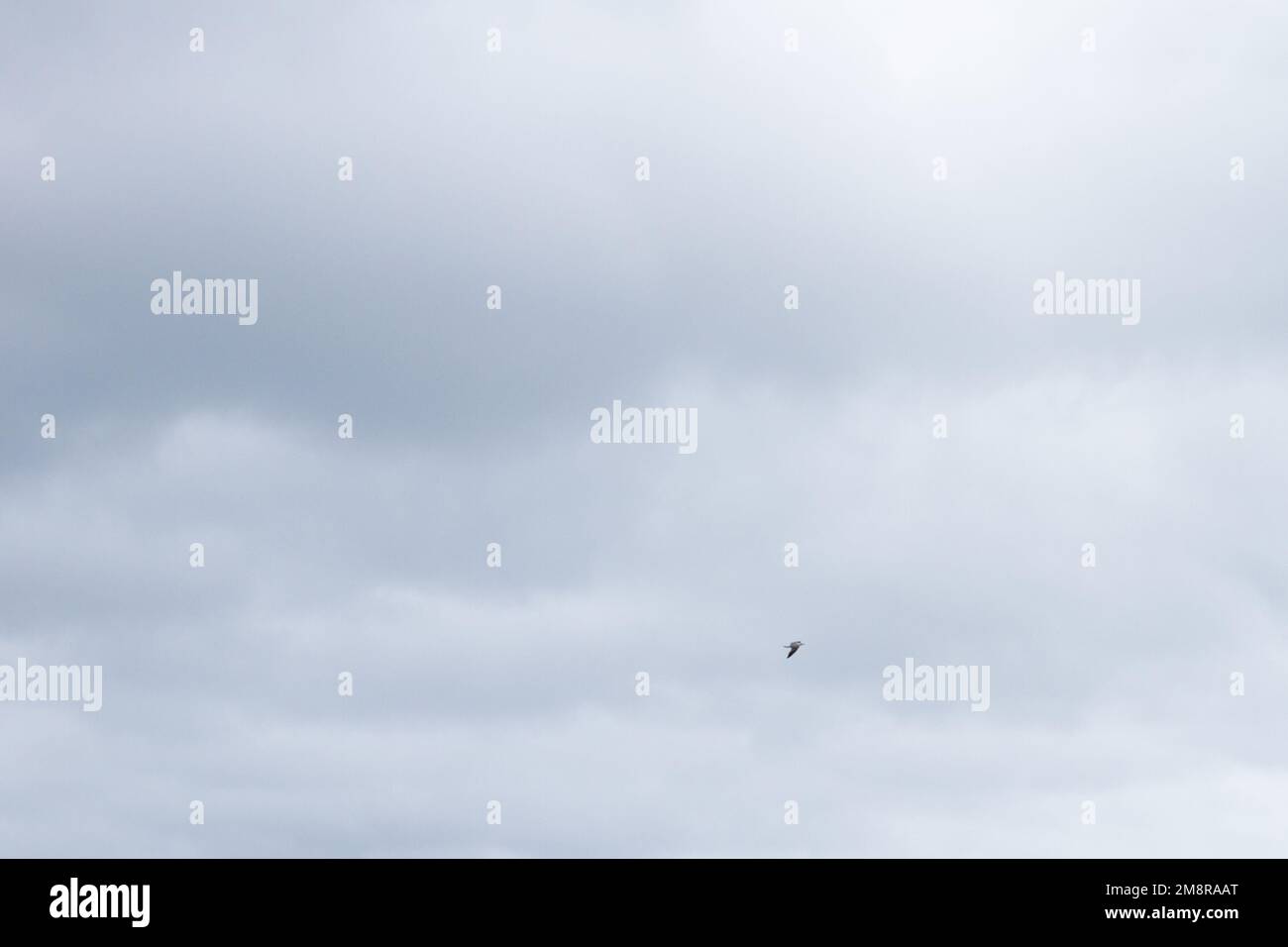 gray sky with clouds gloomy bad weather Stock Photo - Alamy