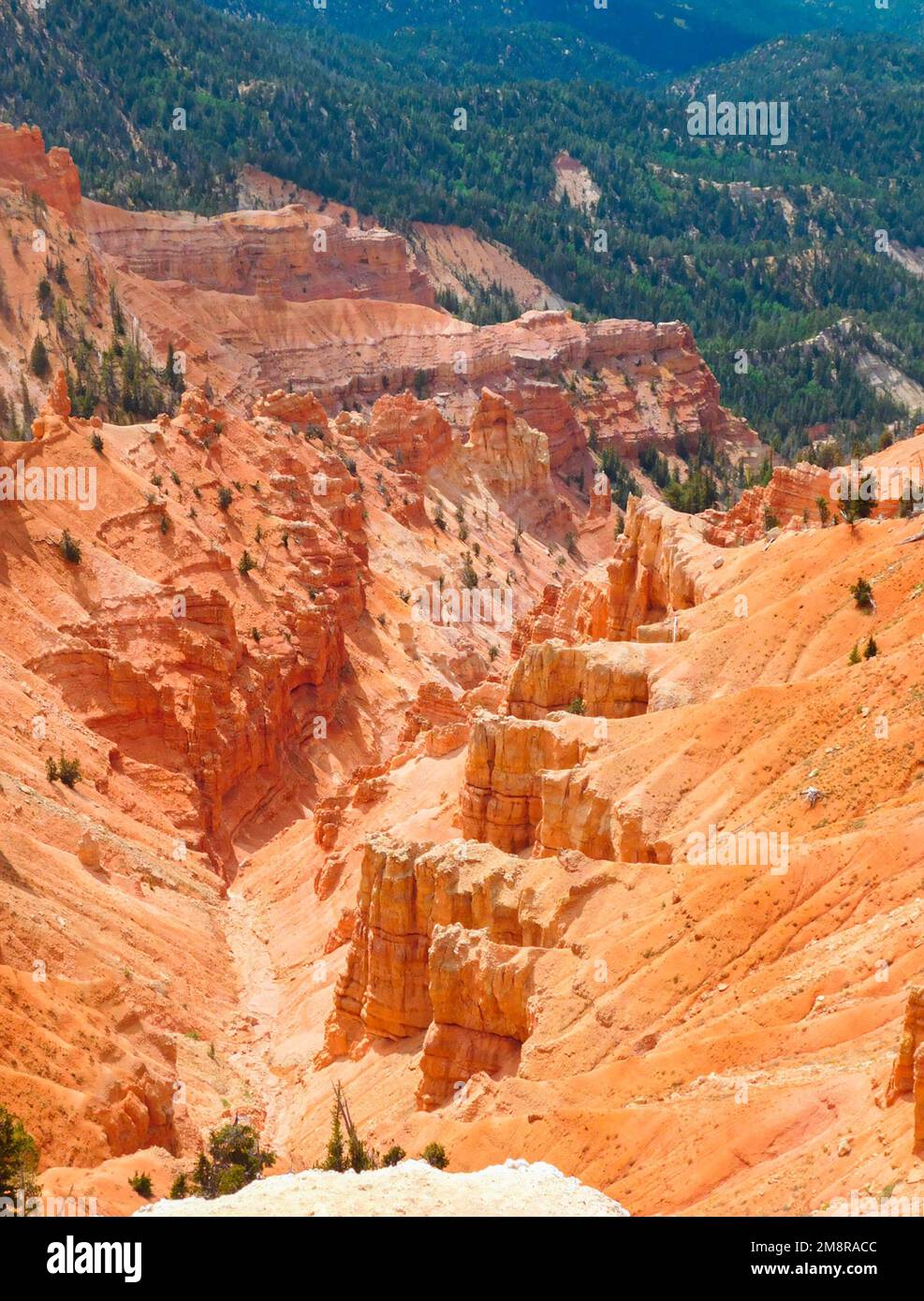 A vertical shot of the South Rim of the stunning Grand Canyon National ...