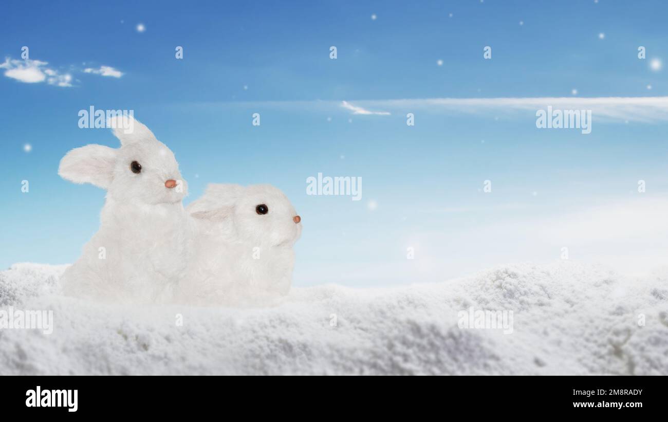 Cute rabbits in the snow. Winter postcard. Winter banner. Snow, rabbits ...