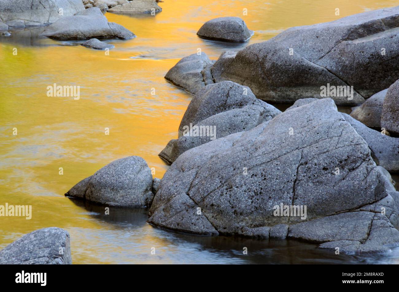 Yellow reflections on the water at Johnson Shut-Ins in Reynolds County ...