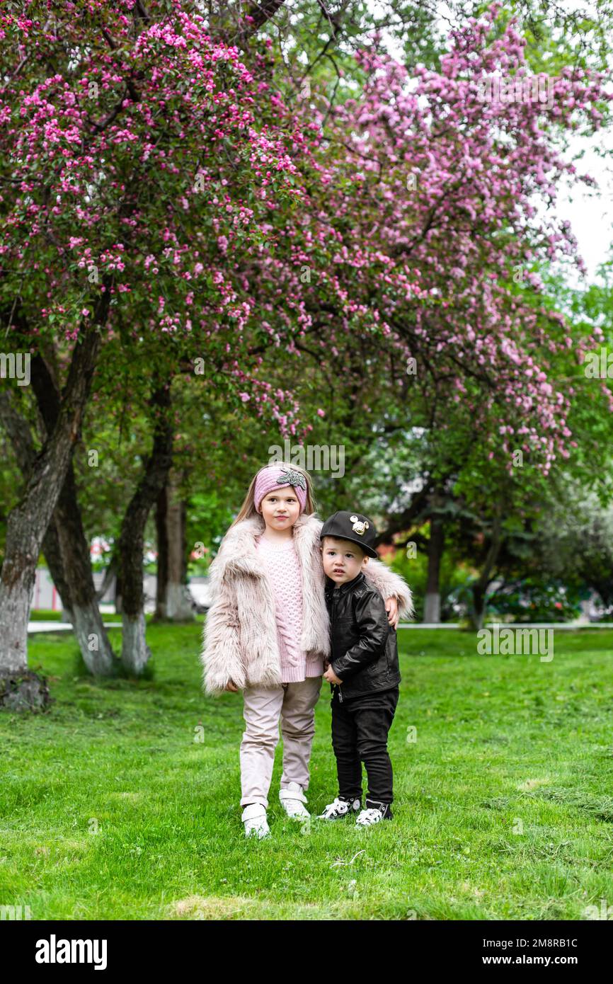 Cute little children playing together in blooming cherry garden Stock ...