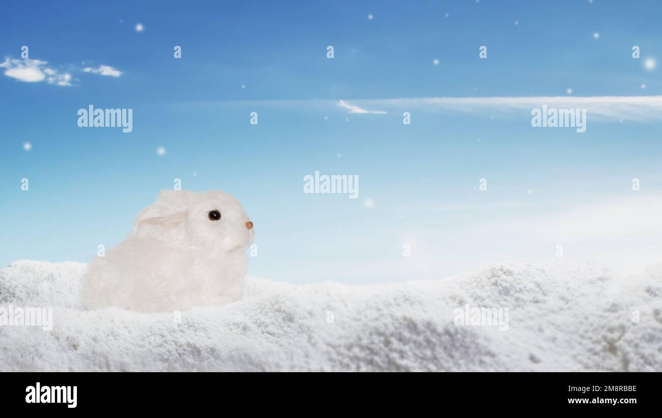 Cute polar bear rabbit hi-res stock photography and images - Alamy