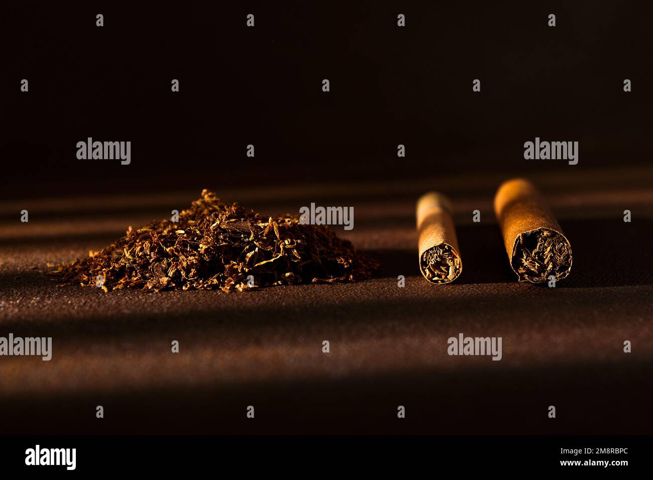 Healthy unhealthy plant hi-res stock photography and images - Alamy